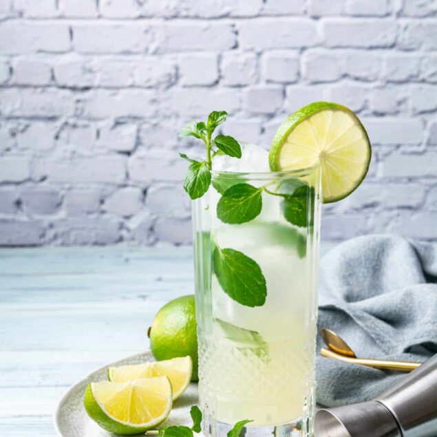 Easy Virgin Mojito Recipe - Twist and Toast