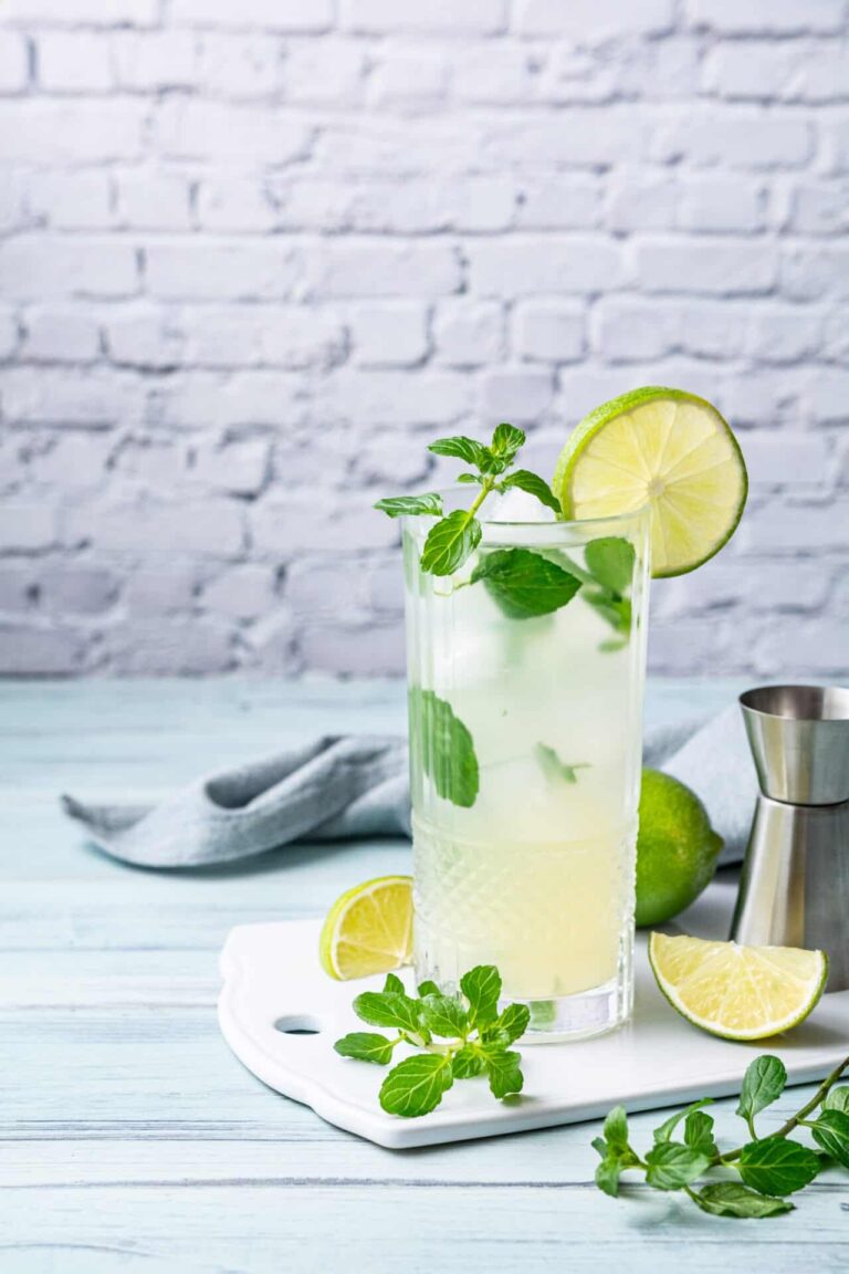 Vodka Mojito Cocktail Recipe - Twist and Toast