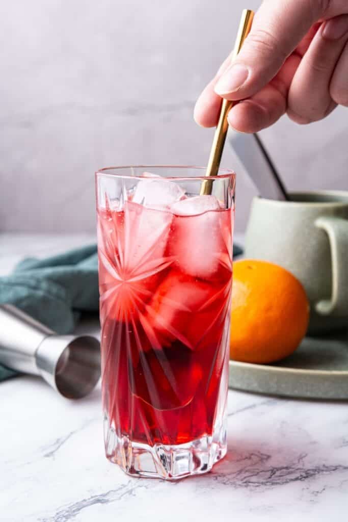 Americano Cocktail - Twist and Toast