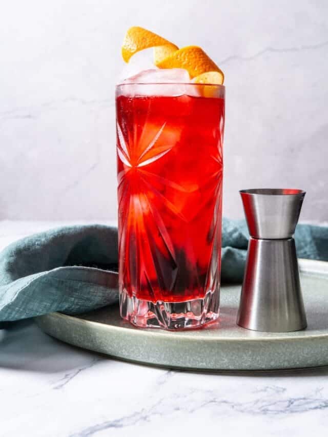 Americano Cocktail - Twist and Toast